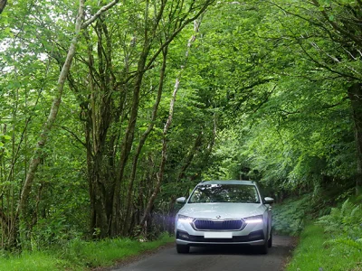 Autumn driving tips: How to prepare your car for autumn | Carparison